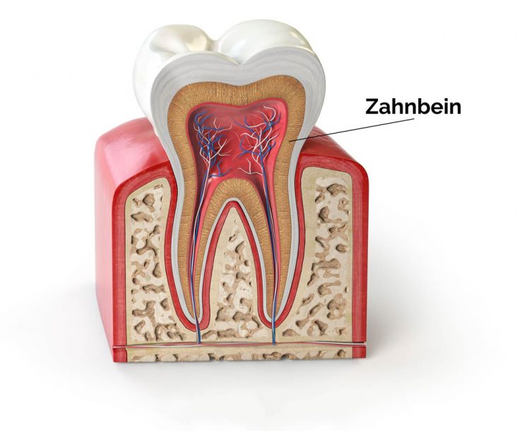 Ihre Zahnarztpraxis in Mülheim Heißen | Zahnärztin Konarzewska